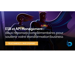 Solution ESB (Enterprise Service Bus) : comment choisir son logiciel